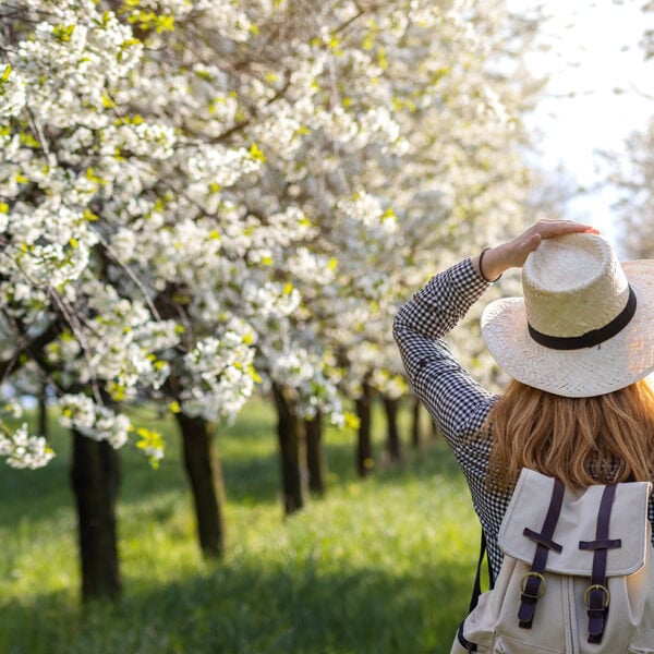 Seehotel Rust am Neusiedlersee | Beginn Ihrer Wohlfühlreise